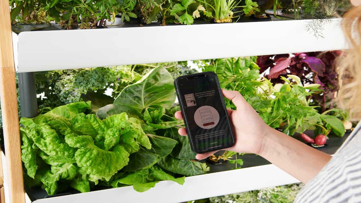 CES 2023 stunner: The New Rise Garden, integrating technology with ...